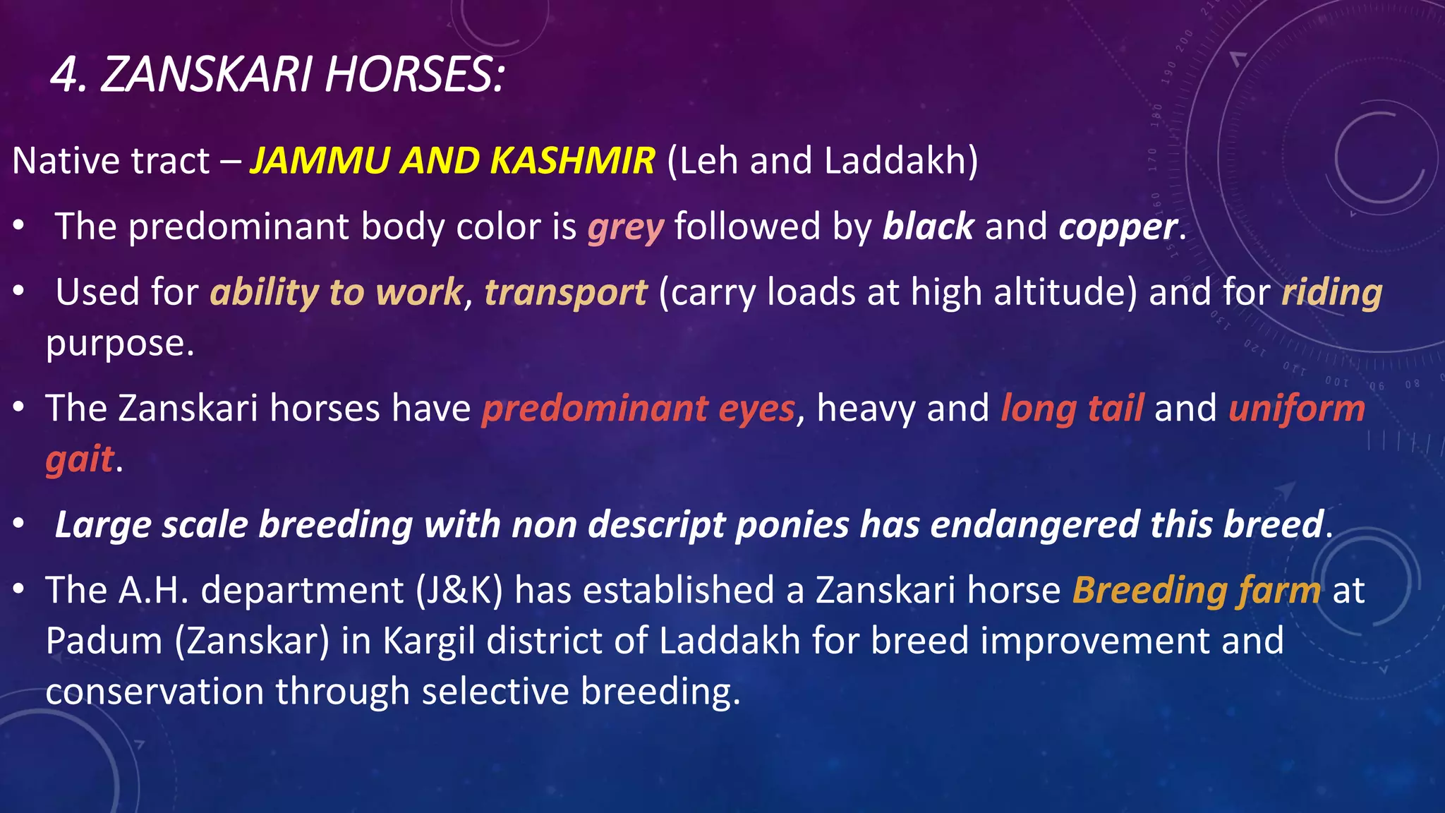 INDIAN HORSE BREEDS, INDIAN PONY BREEDS, HORSES, PONIES | PPTX