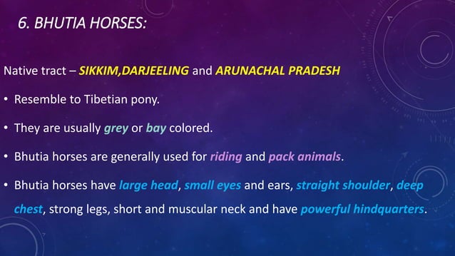INDIAN HORSE BREEDS, INDIAN PONY BREEDS, HORSES, PONIES | PPTX