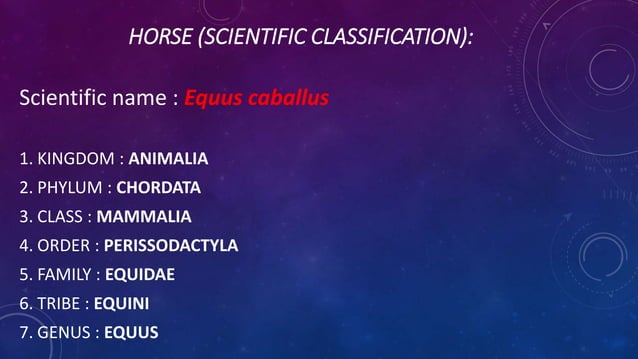 INDIAN HORSE BREEDS, INDIAN PONY BREEDS, HORSES, PONIES | PPTX