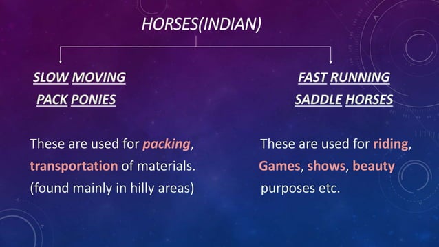 INDIAN HORSE BREEDS, INDIAN PONY BREEDS, HORSES, PONIES | PPTX