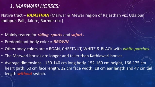 INDIAN HORSE BREEDS, INDIAN PONY BREEDS, HORSES, PONIES | PPTX