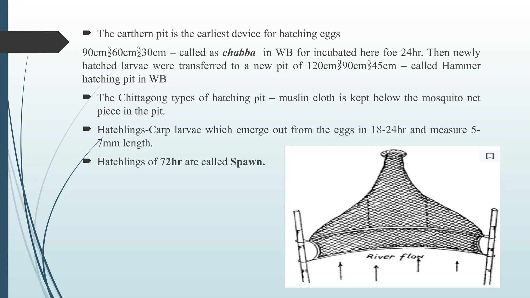 Indian major carps N.pptx.................... | PPTX