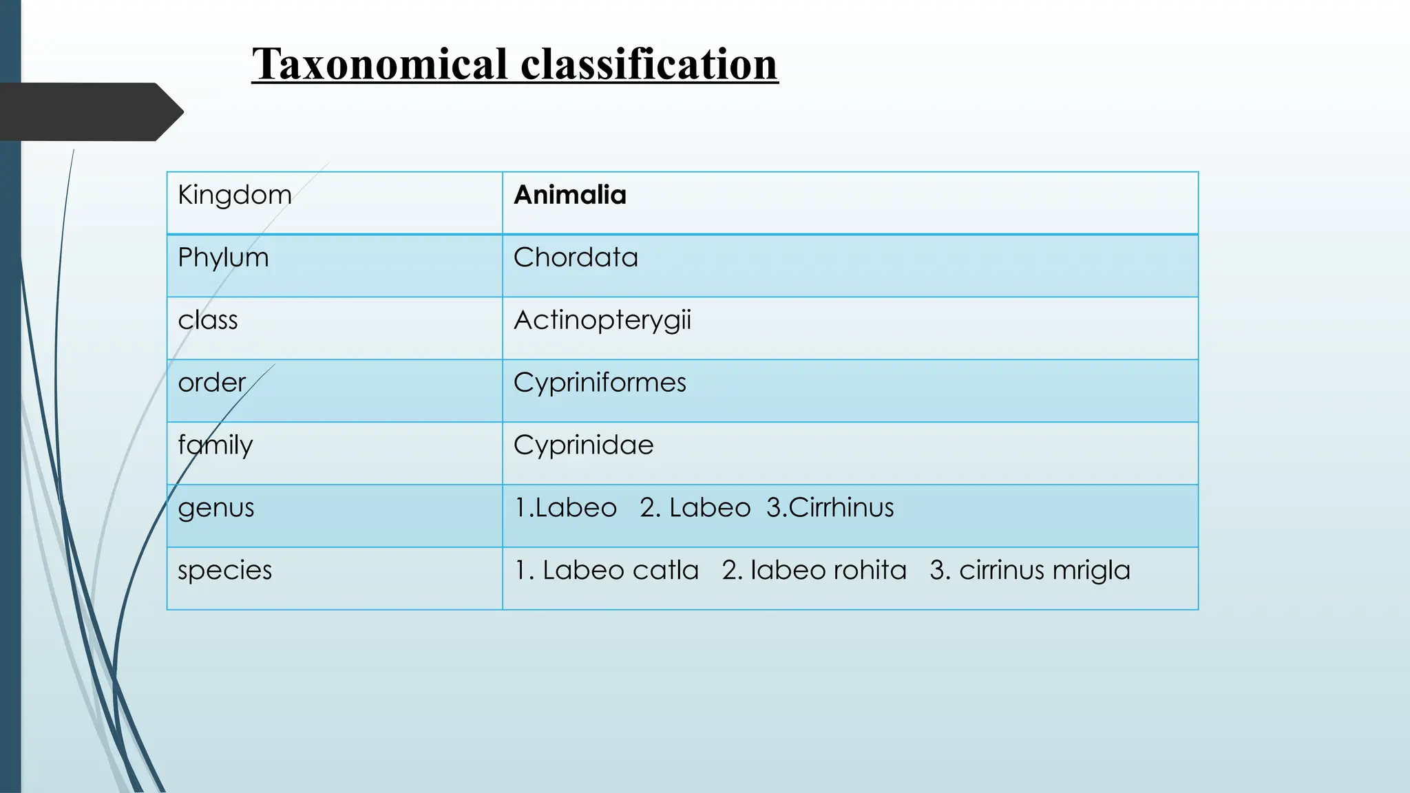 Indian major carps N.pptx.................... | PPTX