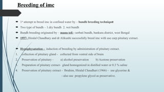 Indian major carps N.pptx.................... | PPTX