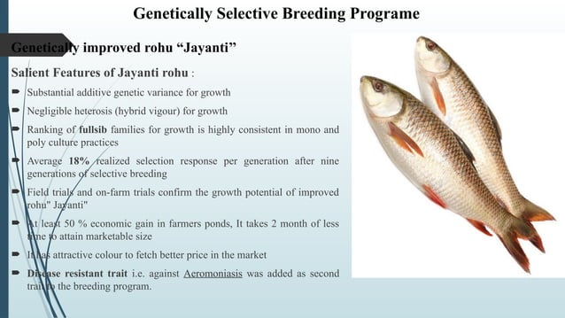 Indian major carps N.pptx.................... | PPTX