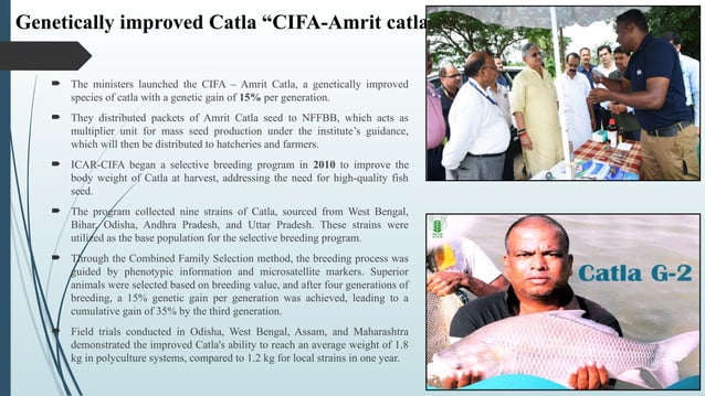 Indian major carps N.pptx.................... | PPT