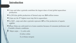 Indian major carps N.pptx.................... | PPTX