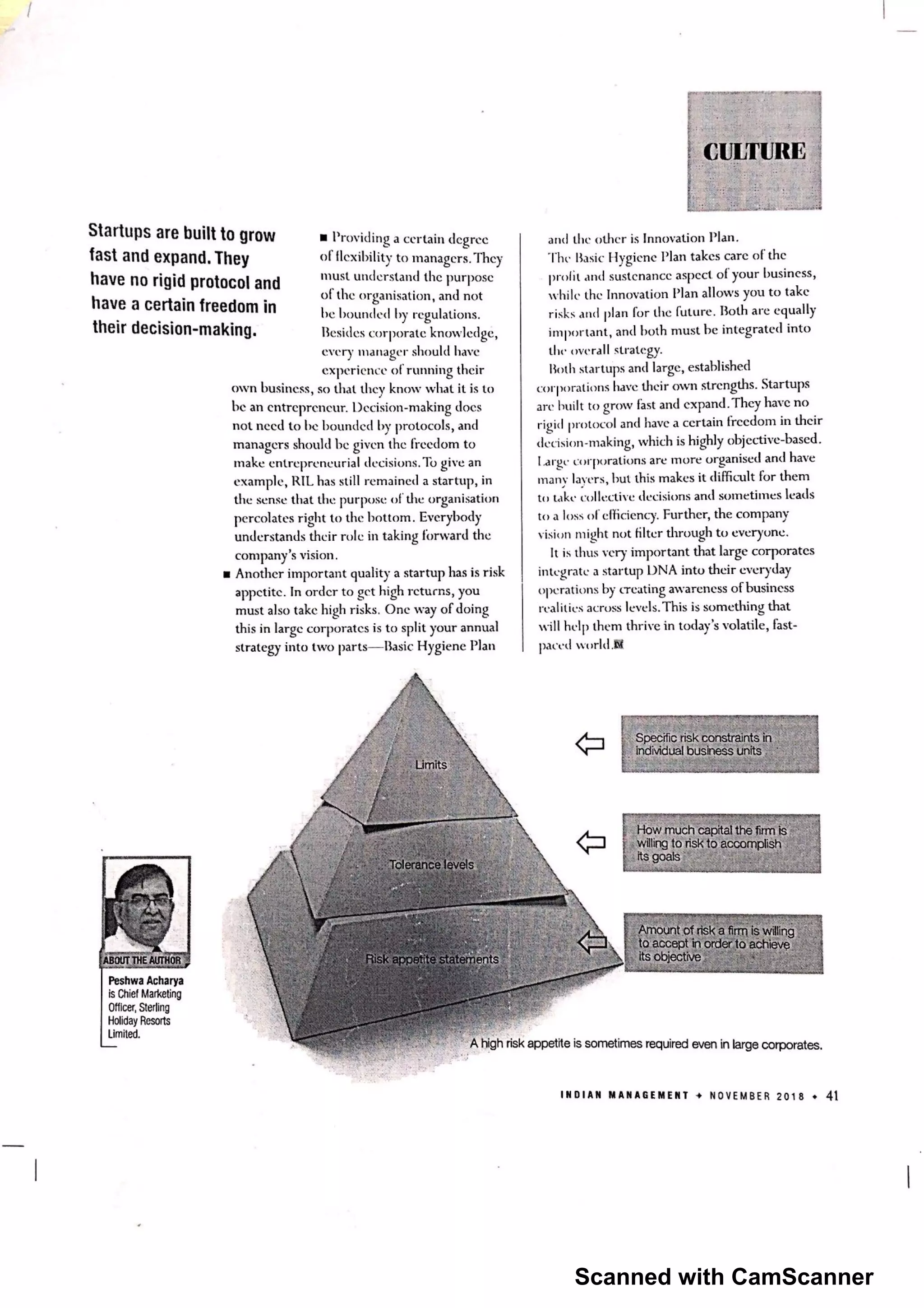 Indian management journal article nov - 2018 by peshwa acharya | PDF