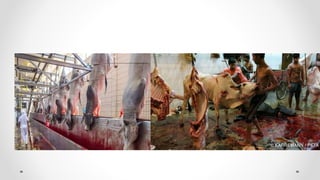Indianmeatindustry 160428182545 | PPTX