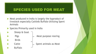 indian_meat_industry_for meat processing and preservation | PDF