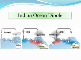 Indian Ocean Dipole (IOD) | PPTX
