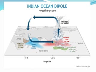 Indian Ocean Dipole (IOD) | PPTX