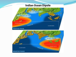 Indian Ocean Dipole (IOD) | PPTX
