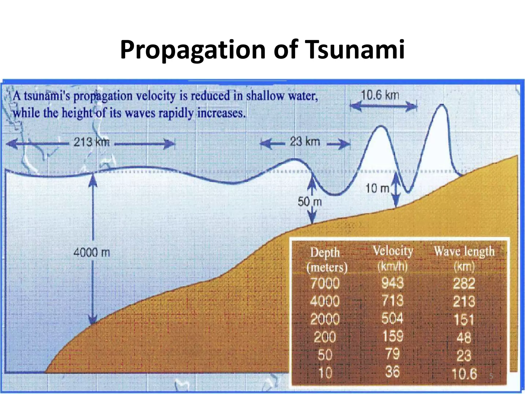Indian ocean tsunami | PPTX