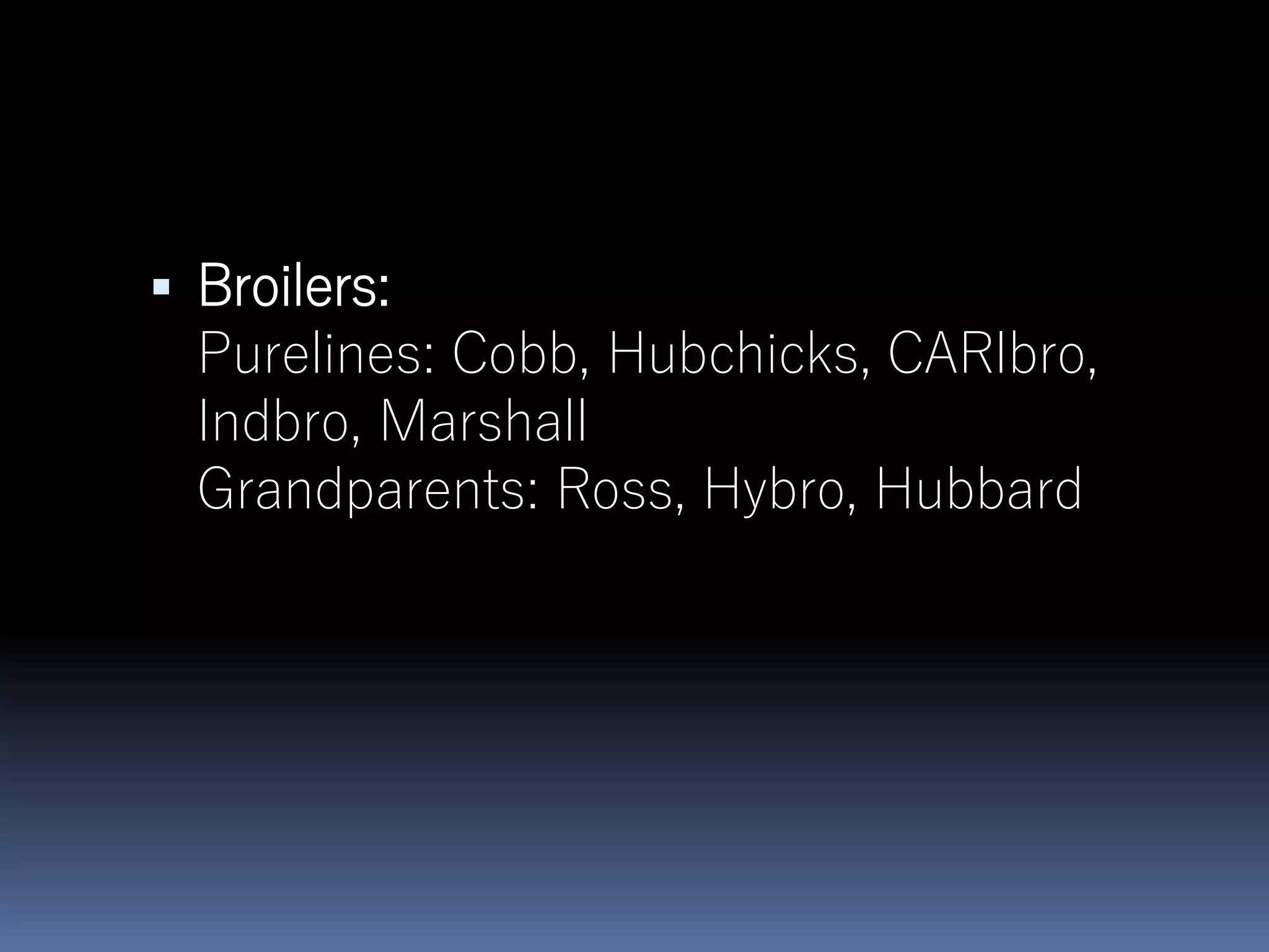 Indian poultry industry- a review | PPTX