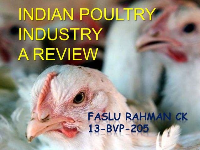 Indian poultry industry- a review | PPTX