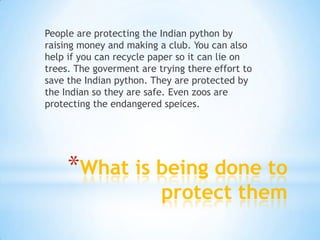 Indian python | PPTX
