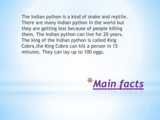 Indian python | PPT