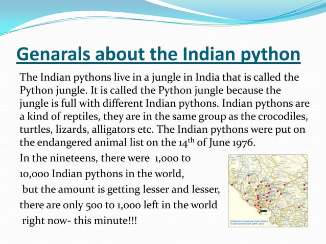 Indian pythons work | PPT