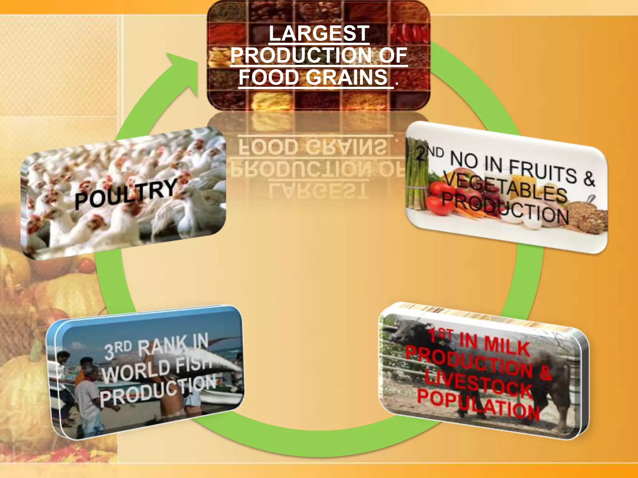 India food processing overview | PPTX