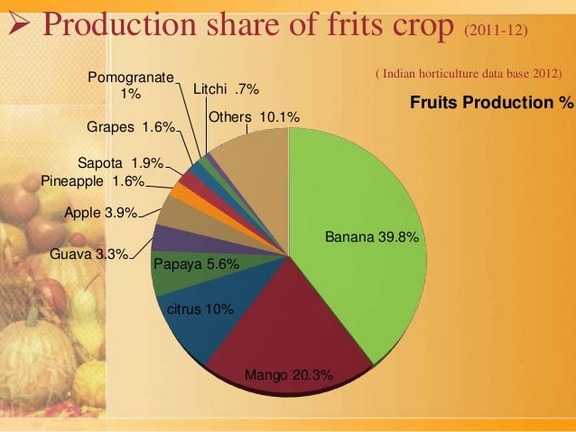 India food processing overview