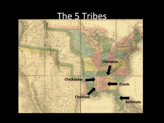 Indian removal 2 | PPT