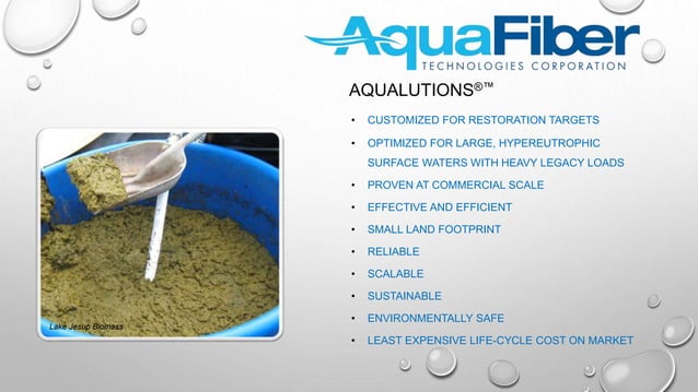 Indian River Lagoon Workshop Presentation - AquaFiber | PPTX