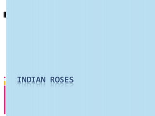 Indian roses | PPTX