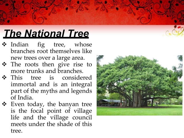 Indian tradition & Culture | PPTX
