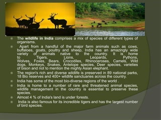 Indian wildlife | PPT