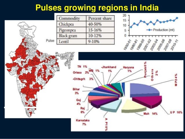 India pulses supply & demand outlook mr. sudhakar tomar