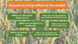 INDIA’S G20 PRESIDENCY & ROLE OF INDIA IN PROMOTING MILLET | PPT