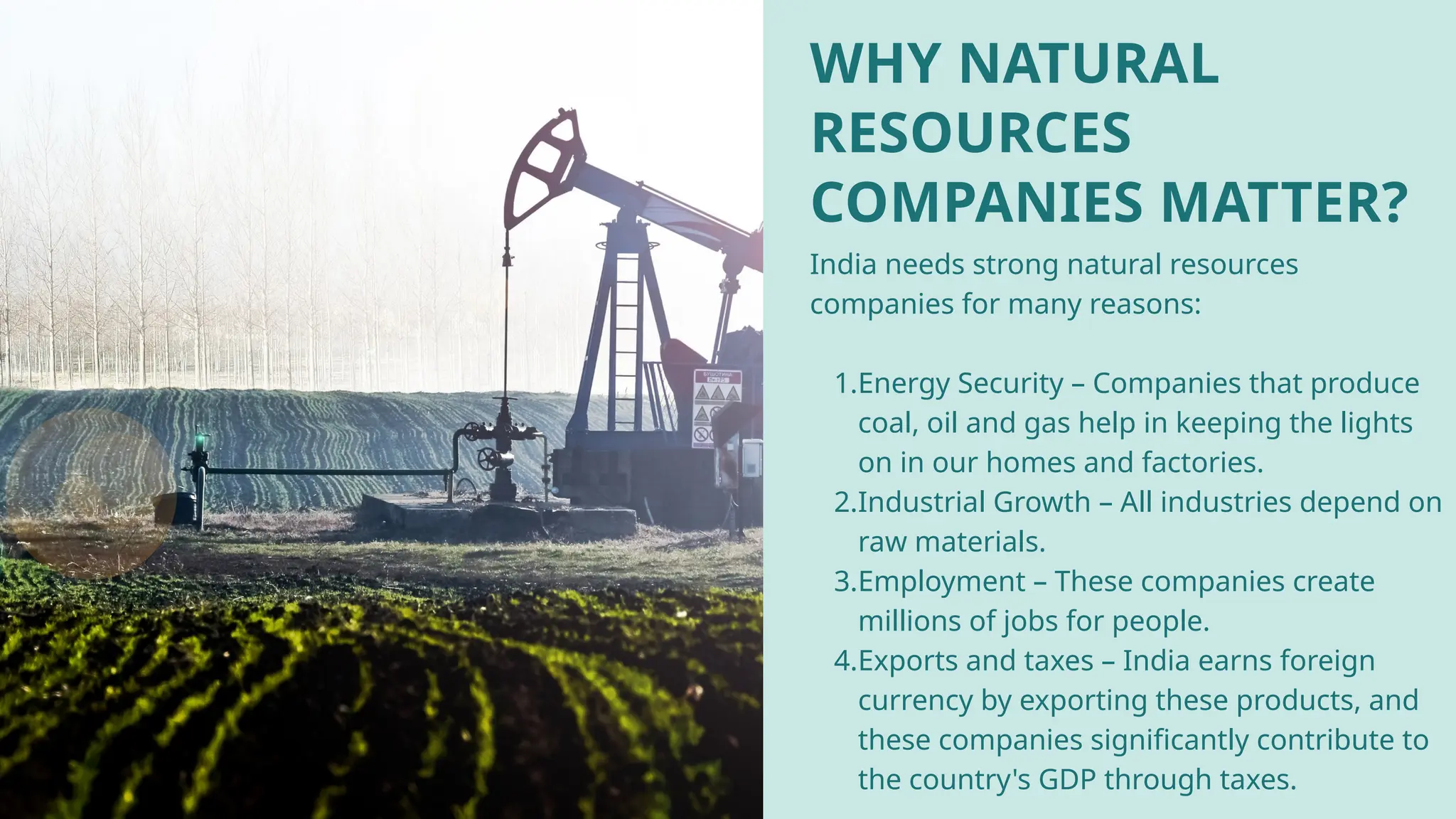 India's Leading Natural Resources Giants Powering the Nation.pptx