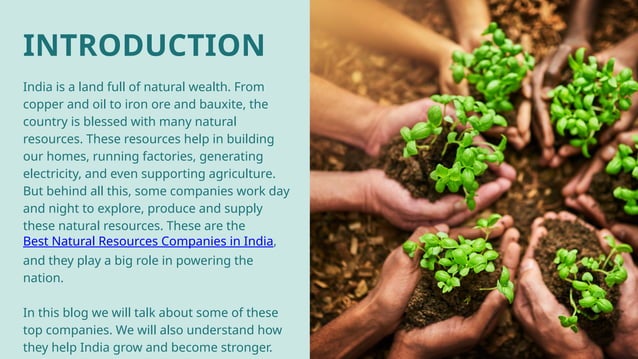 India's Leading Natural Resources Giants Powering the Nation.pptx