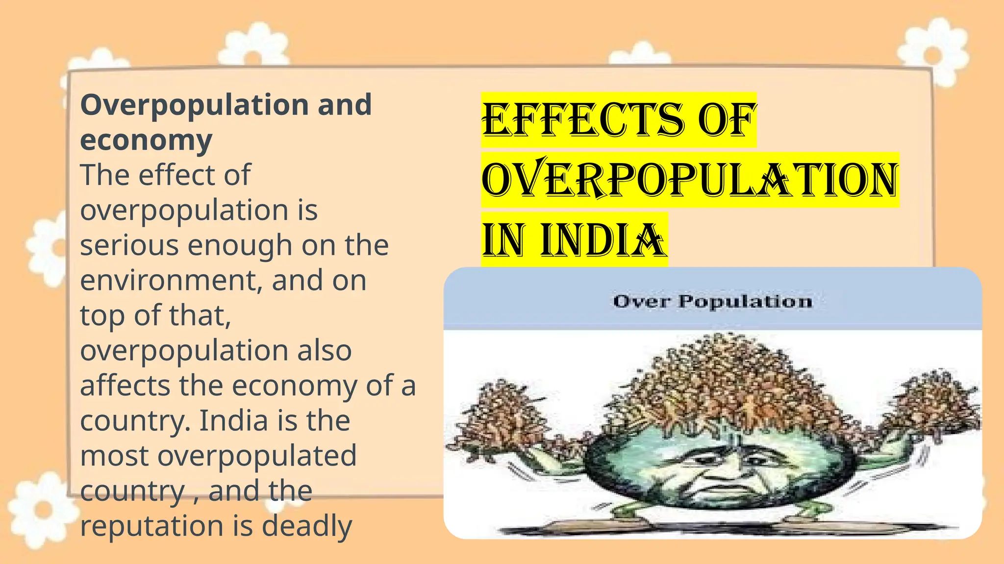 India's Population Crisis.pptx class 11 cbse | PPTX