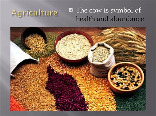 India’s sacred cow | PPT