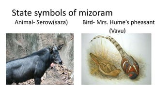 India state mizoram | PPTX | Industrial Property | Real Estate