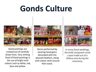 India tribes - indegenous colour of india | PPTX