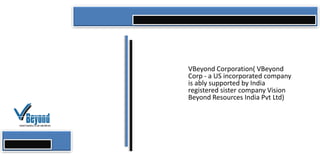 VBeyond Credentials | PDF