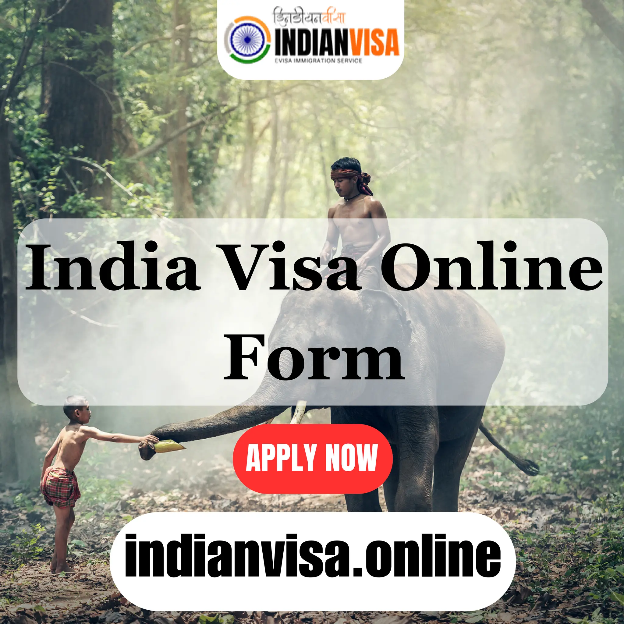 Apply india visa online form (eVisa India) | PDF