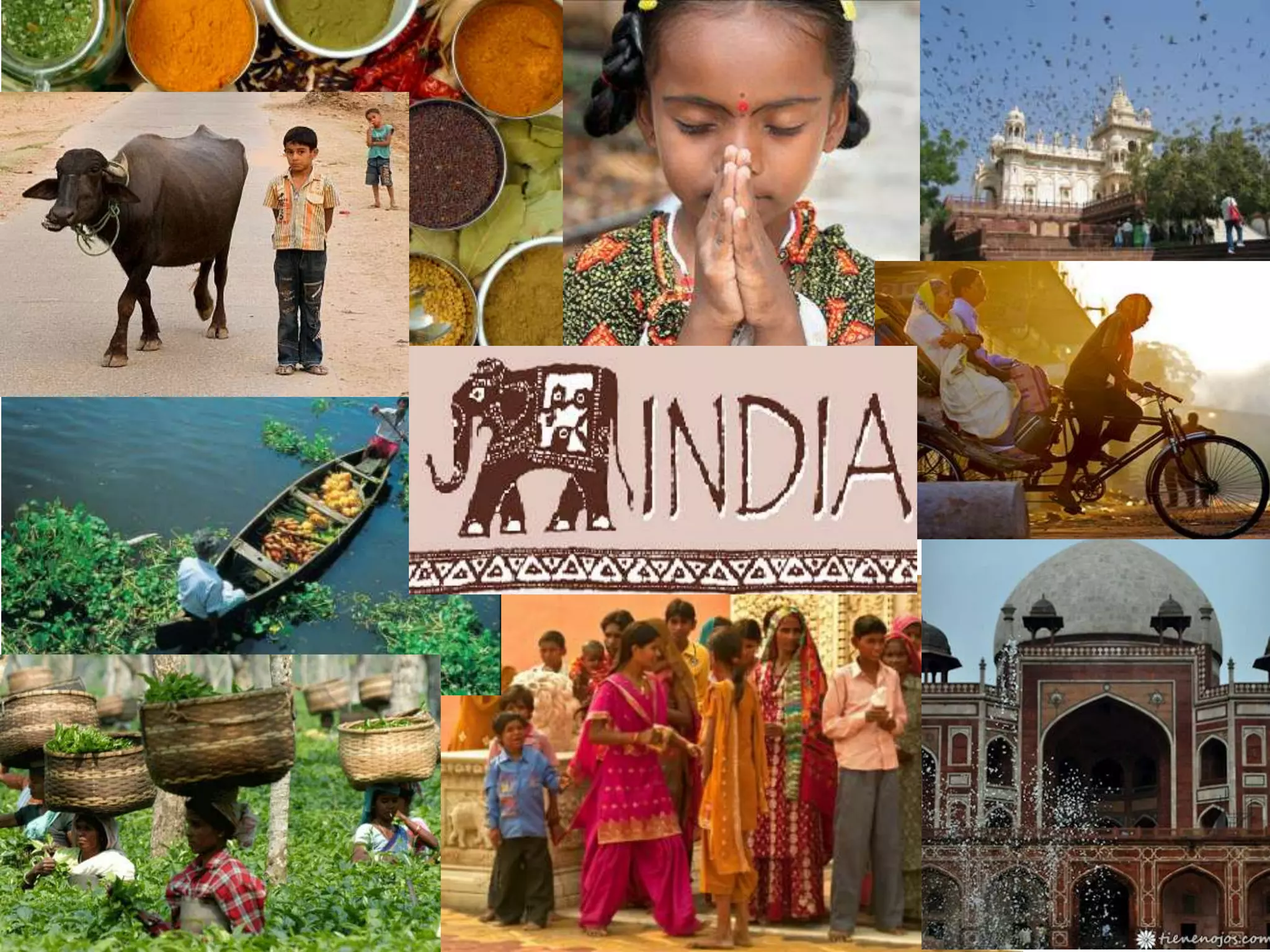 India, what a paradise | PPTX