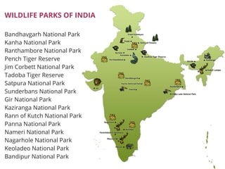 India wildlife | PDF