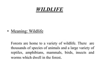 India wildlife | PPTX