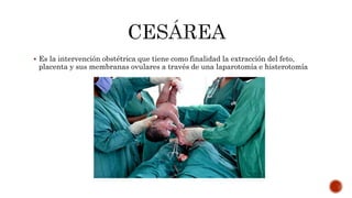 INDICACIONES CESAREA | PPTX