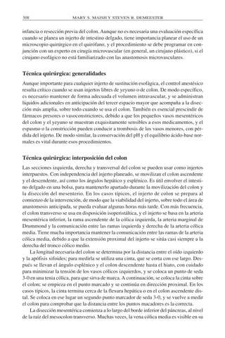 Indicaciones y técnicas de las interposiciones de colon y yeyuno para ...