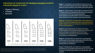 INDICADORES DE MADURACION OSEA emn ortodoncia | PPTX