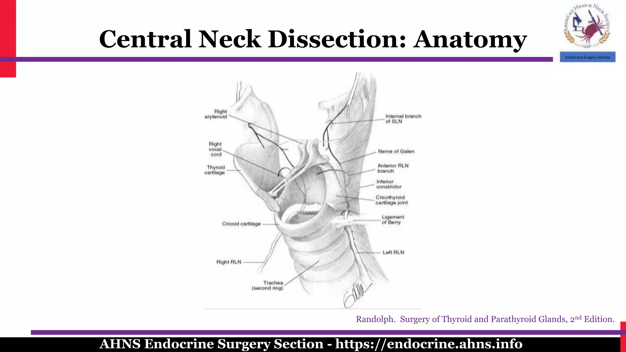 Indications and extent of central neck dissection for papillary thyroid ...