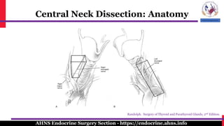 Indications and extent of central neck dissection for papillary thyroid ...