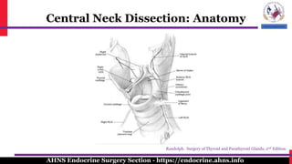 Indications and extent of central neck dissection for papillary thyroid ...