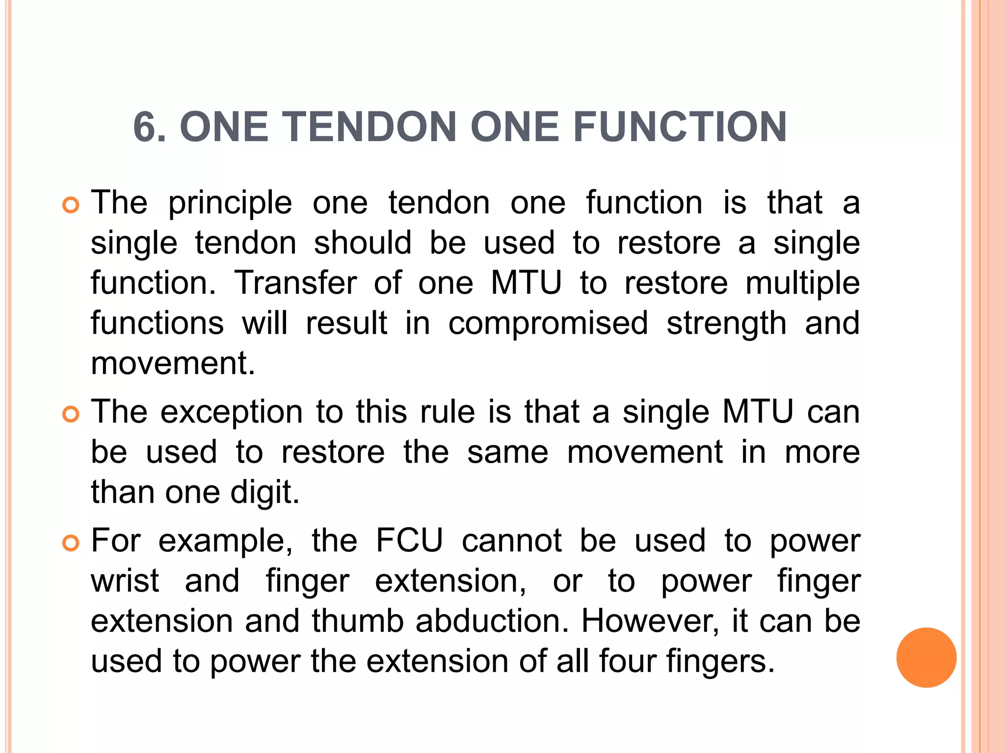Indications and principles of tendon transfer | PPTX